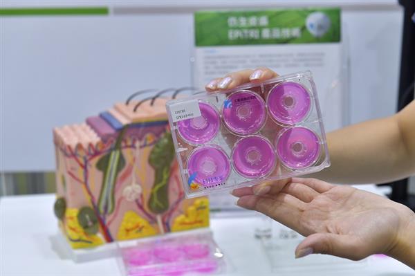 Cosmetics testing on 3D printed Chinese skin will replace testing on ...
