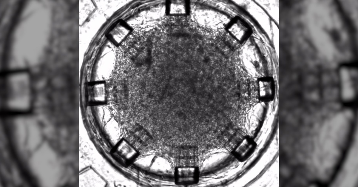 DOSSIER: The Tiny World of micro-additive manufacturing technologies ...