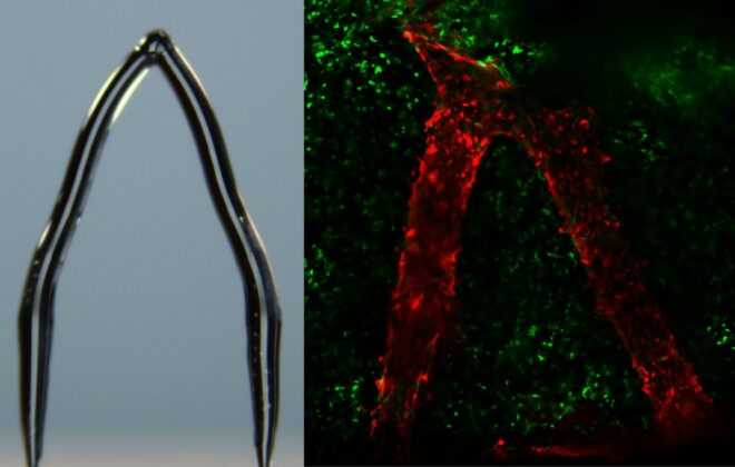 Have you heard about 3D ice printing? It can help create structures ...