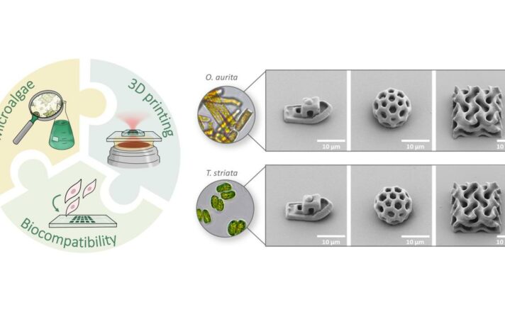 Additive Manufacturing and 3D printing News - 3D ADEPT MEDIA
